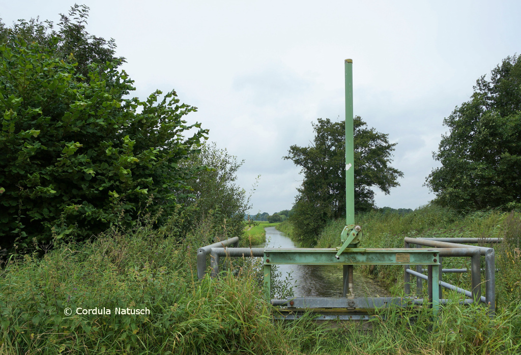 Entlang der Oste 1 - von Bremervörde nach Hechthausen - Abseits der Pfade